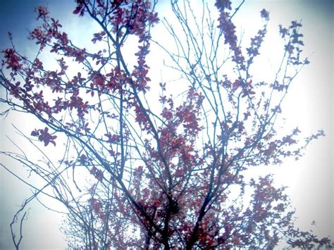 35mm Photography Capturing Analog Moments