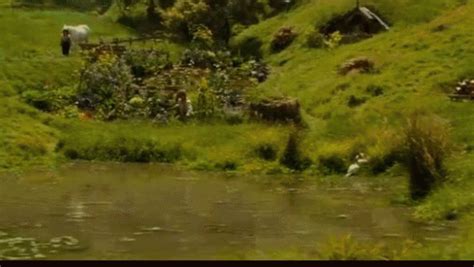 Shire  The Hobbit Fields Grass Discover And Share S