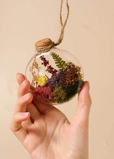 Товары для дома купить необычные вещи на Ламбада маркете