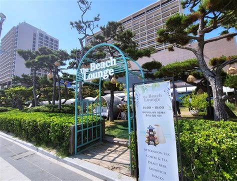 부산 파라다이스 호텔 더 비치라운지 바닷가 보며 수제맥주·와인 네이버 블로그