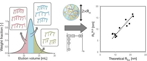 Polymers Free Full Text Characterization Of Comb Shaped Copolymers By Multidetection Sec
