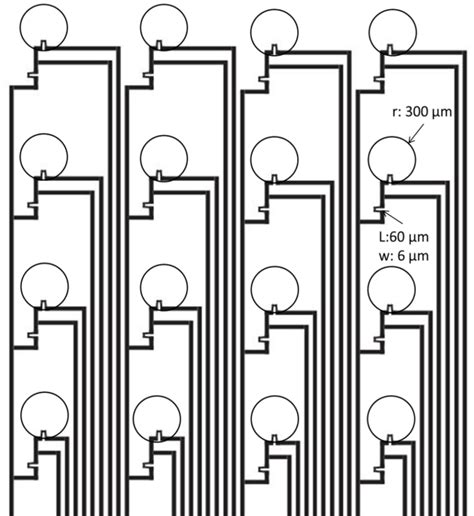 4 4 Pressure And Temperature Sensing Array Membrane Radius Is 300