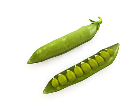 Peas 3d Model Flippednormals