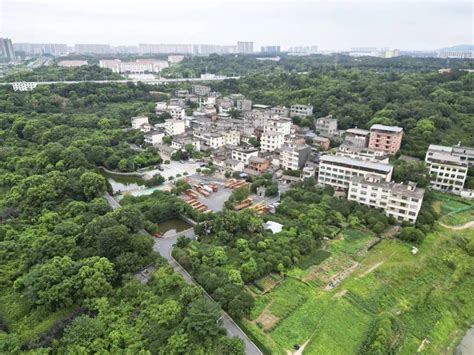 推进“三风”建设 助力乡村振兴文明家风典型