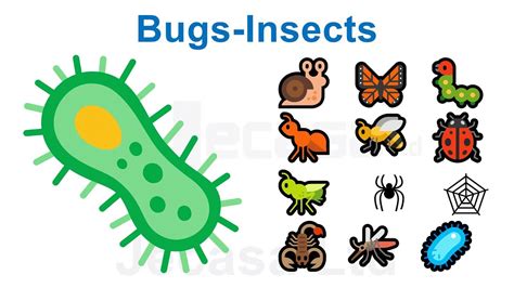 Animal Bug Emojis List