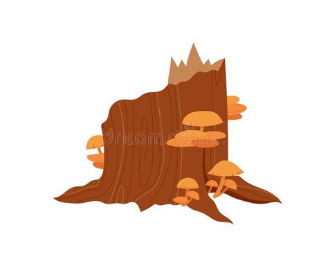 White Mushroom Growing Tree Stump Stock Illustrations 55 White