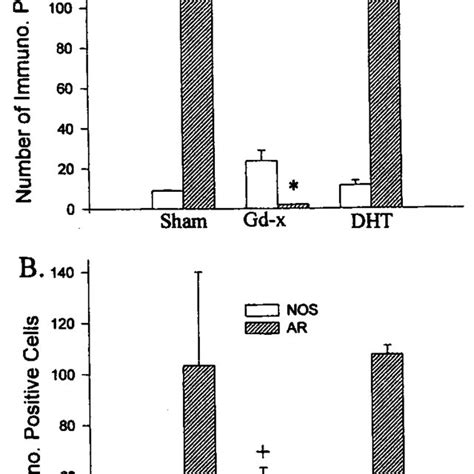 Influence Of Gonadectomy Gd X And Hormone Replacement With 20 Mm