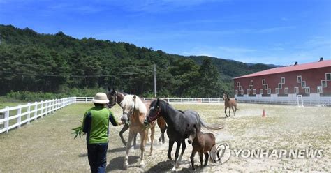 성큼 다가온 가을하늘