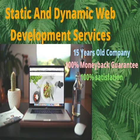 Html5css Static And Dynamic Web Development Services With 247
