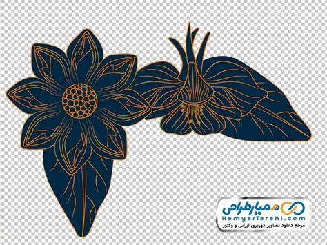 دانلود عکس وکتوری گل لوتوس 07023149