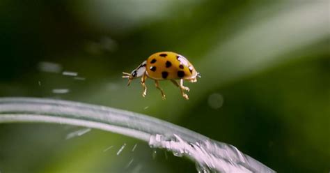 Oracle和mysql的数据导入，差别为什么这么大 知乎