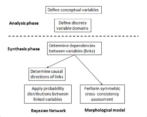 Comparative Steps In Developing Bayesian Networks And Morphological