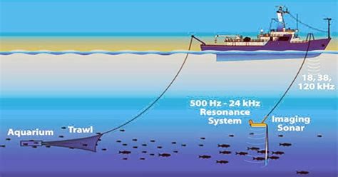 In Sonar Systems An Attention Based Deep Neural Network Improves