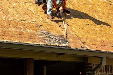 What Is Roof Dry Rot Inspect Diagnose And Repair