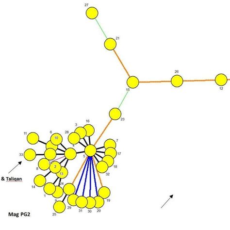 Graphic Representation Of Minimum Spanning Tree Mst Resulting From