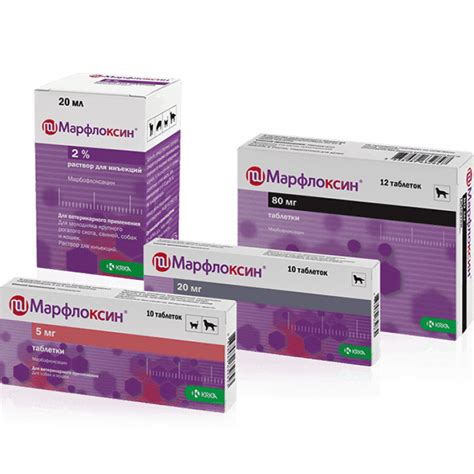 Pacemaker Prophylactic Antibiotic