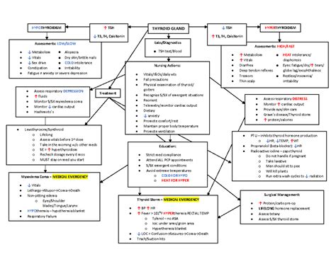 Thyroid Concept Map Unit 2 Lecture Notes For Nurs 1410 Adult 2 Hypothyroidism Thyroid Gland