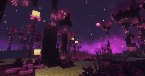 Better Ends Sky Endergetic Expansions Poise Forest Complimentary