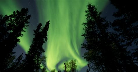 Soft Eyes Leading With Curiosity Not Conclusions Self Reg