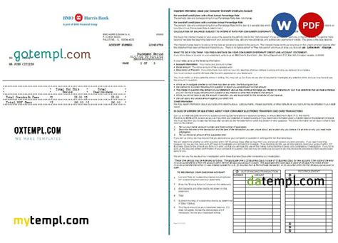 Usa Bmo Harris Bank Statement 3 6 Months Word And Pdf Example 3