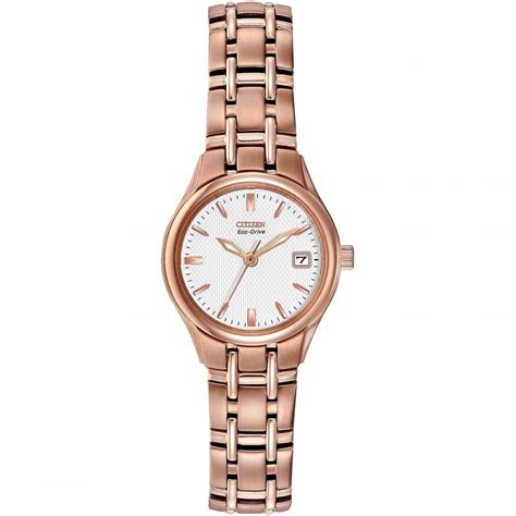 Citizen Ladies Everyday Eco Drive Watch Watches From Francis And Gaye