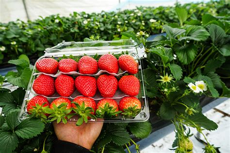 Joygream 230728 유토이미지 검색 결과