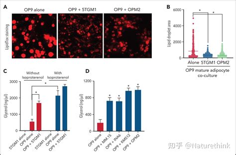 多发性骨髓瘤细胞在脂肪细胞中诱导脂肪分解并通过脂肪酸转运蛋白摄取脂肪酸 知乎
