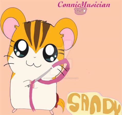 Sandy Hamtaro Hamtaro Hamtaro Stan Hamtaro Sandy Sandy Stan Cute