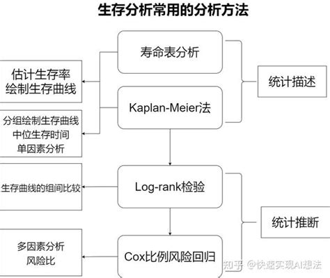 一篇项目走进生存分析 Survival Analysis 的世界【python版 知乎