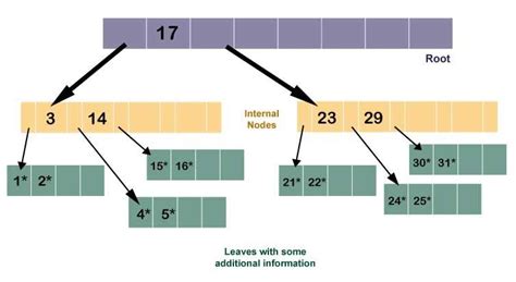 B Trees In DBMS Naukri Code