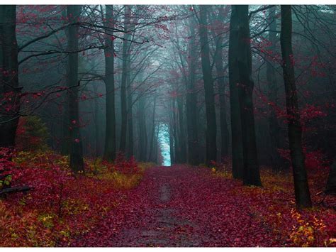 Germany Autumn Wallpapers Top Free Germany Autumn Backgrounds