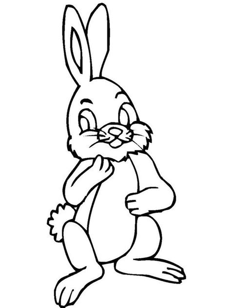 Desenhos De Pequena Lebre Para Colorir E Imprimir Colorironlinecom Porn Sex Picture