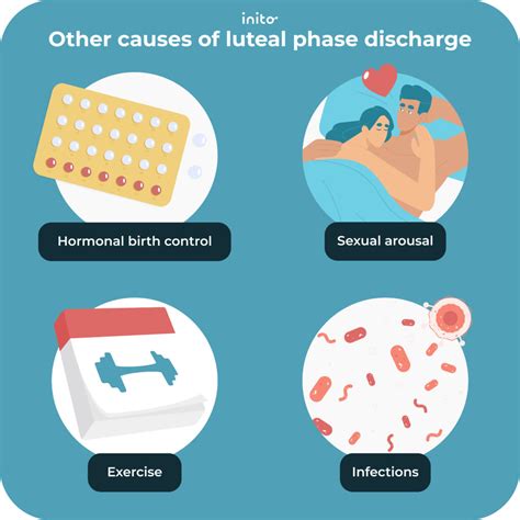 Luteal Phase Discharge What Its Telling You Inito