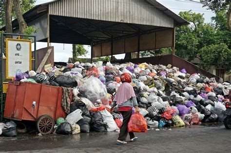 Waste Sorting Policy Effectivness In Yogyakarta Green Info