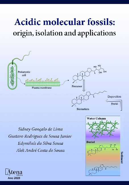 Pdf Acidic Molecular Fossils Origin Isolation And Applications Atena Editora Atena