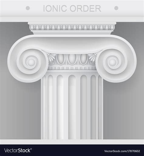 Capital Of Ionic Column Royalty Free Vector Image