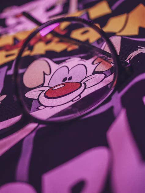Pinky And The Brain Take Over The World T Shirt Elbenwald