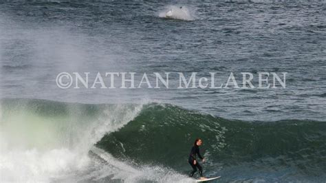 Shaaark Close Escape For Surfer Daily Telegraph