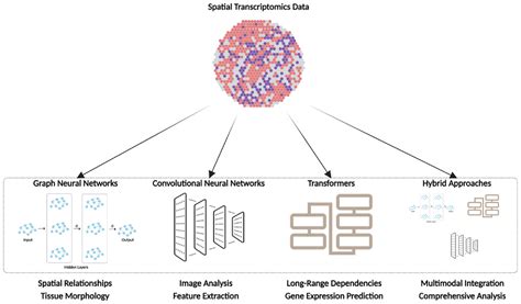 Deep Learning Based Multimodal Spatial Transcriptomics Analysis For