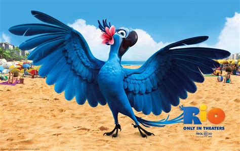 Rio Jewel Wallpapers Wallpaper Cave