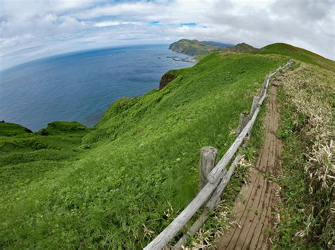 礼文島トレイル桃岩展望台コース稚内からフェリーで日帰りで行ってきた やじり鳥