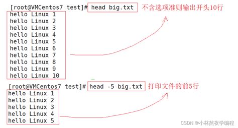 【linux系统编程】第四弹 基本指令二echo 指令 Csdn博客