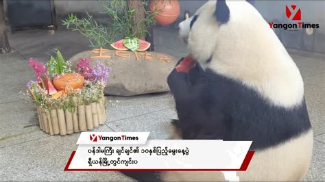 ပန်ဒါမကြီး ချင်ချင်၏ ၁၀နှစ်ပြည့်မွေးနေ့ Youtube