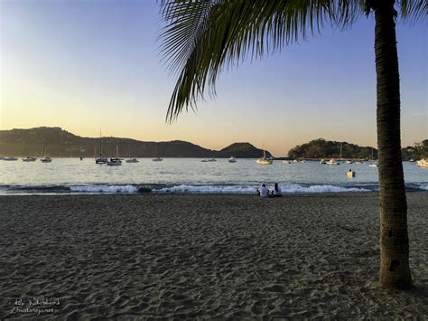 Zihuatanejo Ixtapa Message Board Ecosistema Marino Senzihble