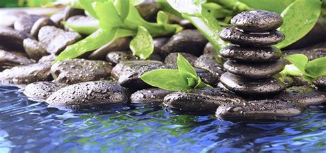 Is Zen An Experience Or Religion Mindful Muscle