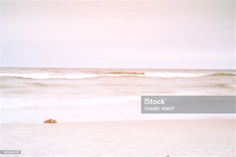 맑은 하늘 열 대 해변에서 바다 볼 수 있습니다 여름 파라다이스 비치의 발리 섬입니다 열 대 해안입니다 발리에서 열 대 바다입니다 수평선에 구름과 이국적인 여름 해변입니다