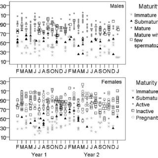 Relationship Between Body Mass BM And Sexual Maturity State In Both Download Scientific