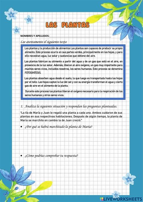 Las Plantas Online Exercise For Tercero De Primaria Live Worksheets