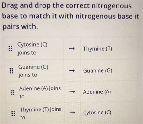 Solved Drag And Drop The Correct Nitrogenous Base To Match It With Nitrogenous Base It Pairs Wi