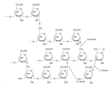 Figure From The Biological Synthesis Of Dextran From 55 Off